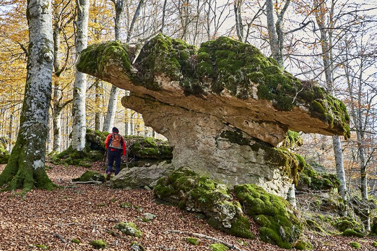 CUATRO ZONAS, UN SOLO PARQUE - Parque Natural de Urbasa y Andía | WEB ...